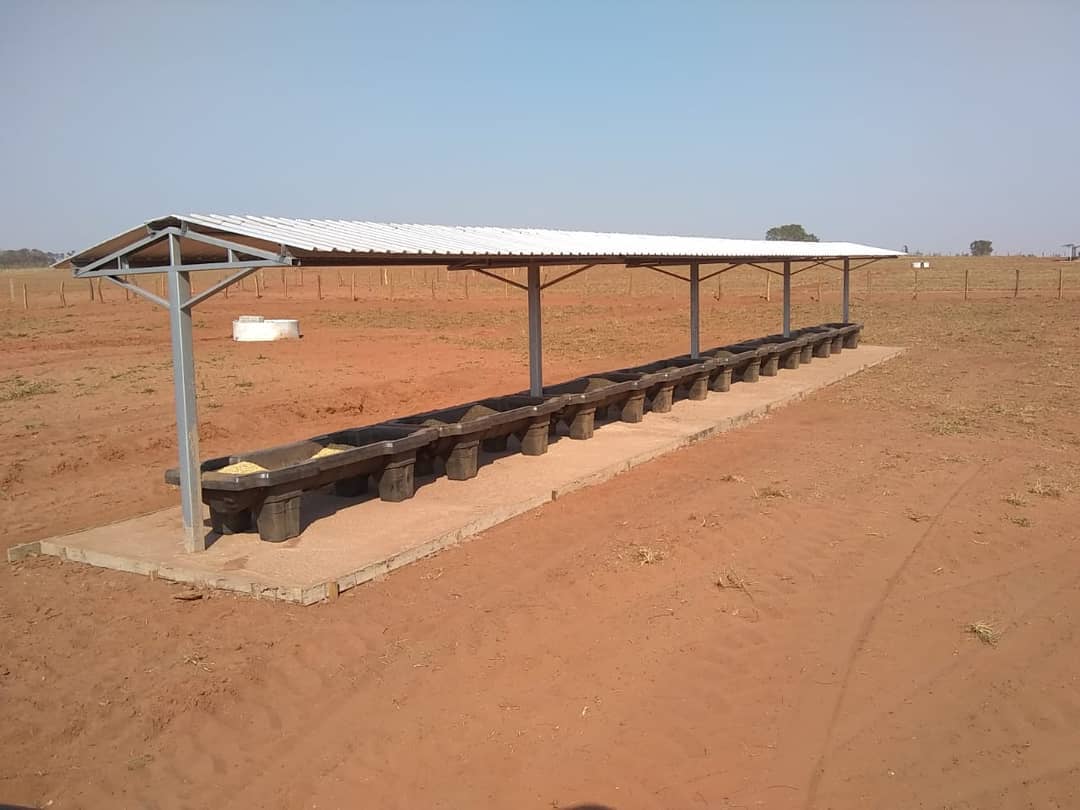 Você conhece todos os tipos de cochos para bovinos? - Boi Saúde